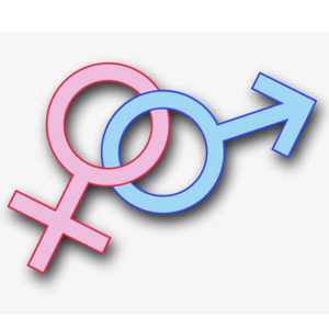 23 Keys for Unlocking the Mystery of Gender, Identity and Human ...